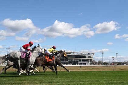 76 Horses Entered For Friday's Six All-Turf Race Card At Meadowlands On ...