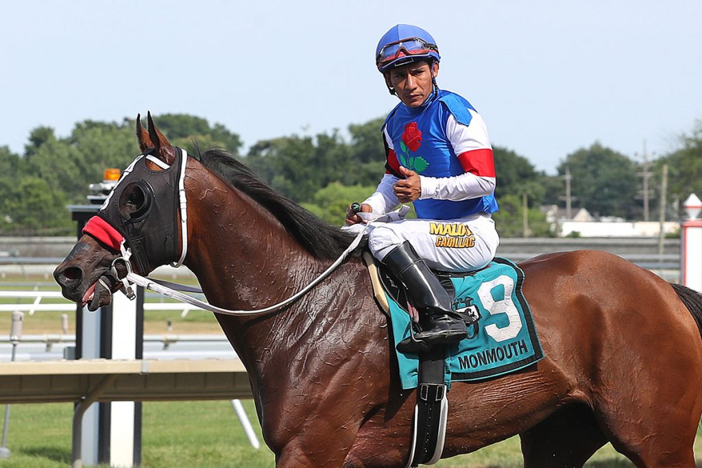 Kelly Breen-Trained He'spuregold Wins Sunday's Irish War Cry Handicap ...