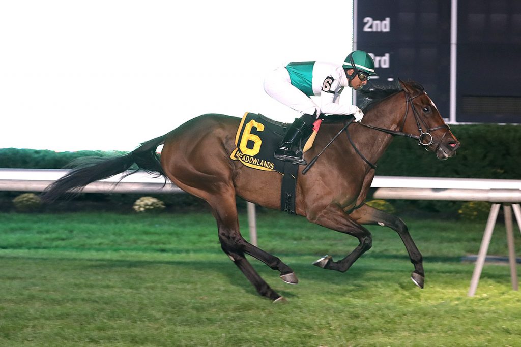 Frippet Wins Featured Allowance By Two Lengths During Friday's Opening ...