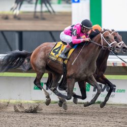 Haskell - Monmouth Park