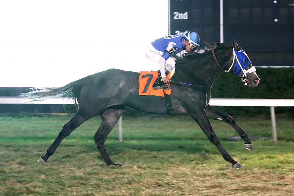 Summer's Comin Re-Rallies In Stretch To Win Saturday Night's Feature On ...