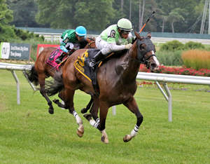 Miss Deplorable Faces Toughest Turf Sprint Test Yet In Saturday's ...