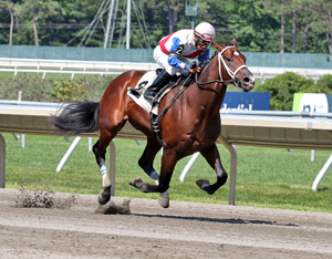 2-Year-Old Uncle Benny Impresses In Debut For Trainer Jason Servis ...
